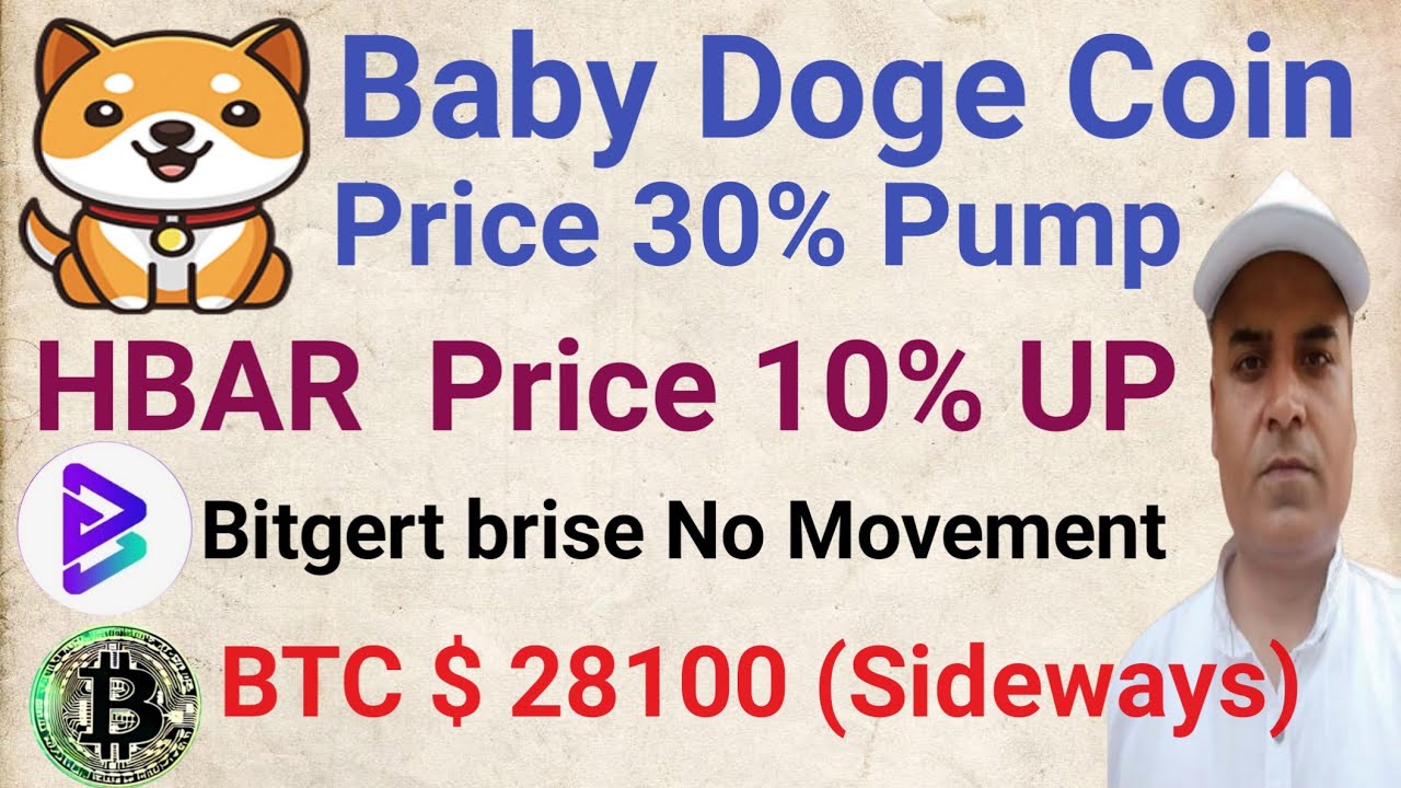 Baby doge coin pump || Bitgert No Movement || BTC Sideways || HBAR ...