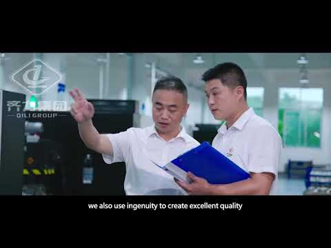 Qili Holding Group