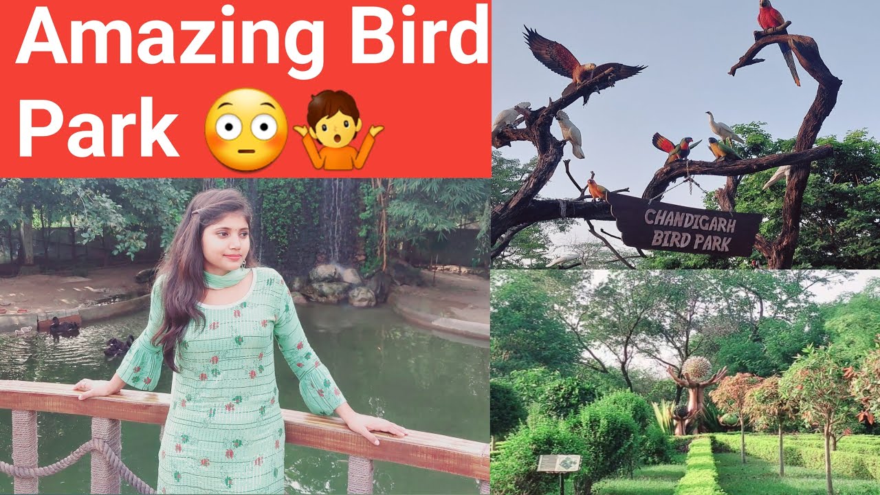 Bird Park 🐦| Famous Tourist Place in Chandigarh 🏝️ | Gunjan Epic ...