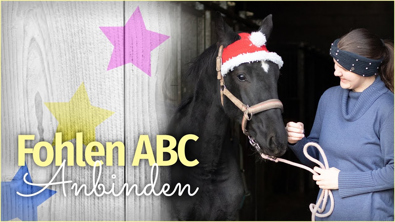 FOHLEN-ABC — Das Anbinden - YouTube