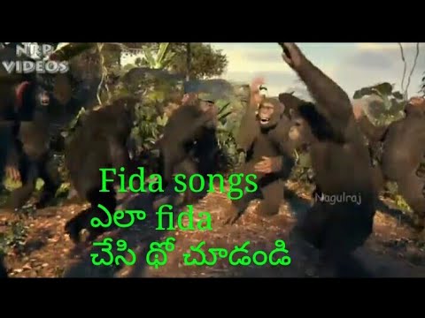 Fida movie song enjoyed monkeys - YouTube