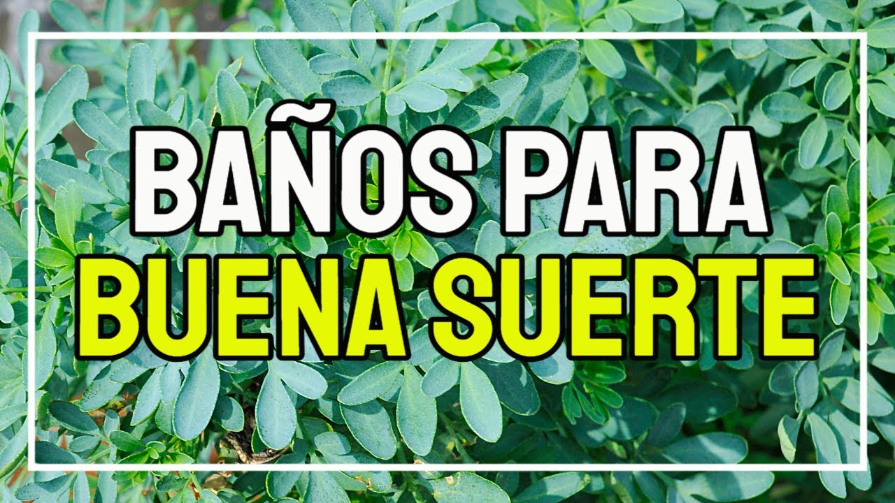 🟢 Baños para la Buena Suerte, con la Planta Ruda - YouTube
