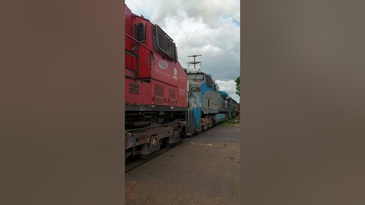 # locomotiva líder # 9835 # 8286 ALL # 9828 Rumo Cosan # 9810 Rumo Cosan # São Carlos - YouTube