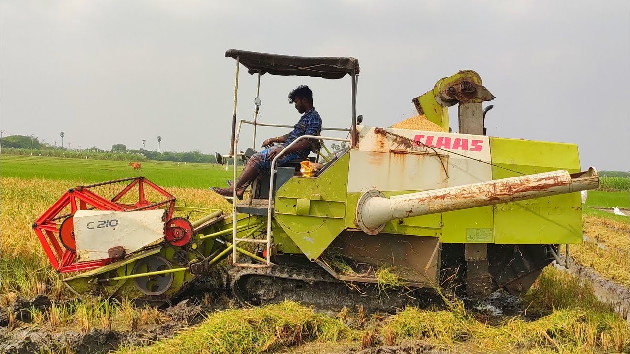 New Model CLASS CROP TIGER HARVESTER 30 Latest 2021 - YouTube