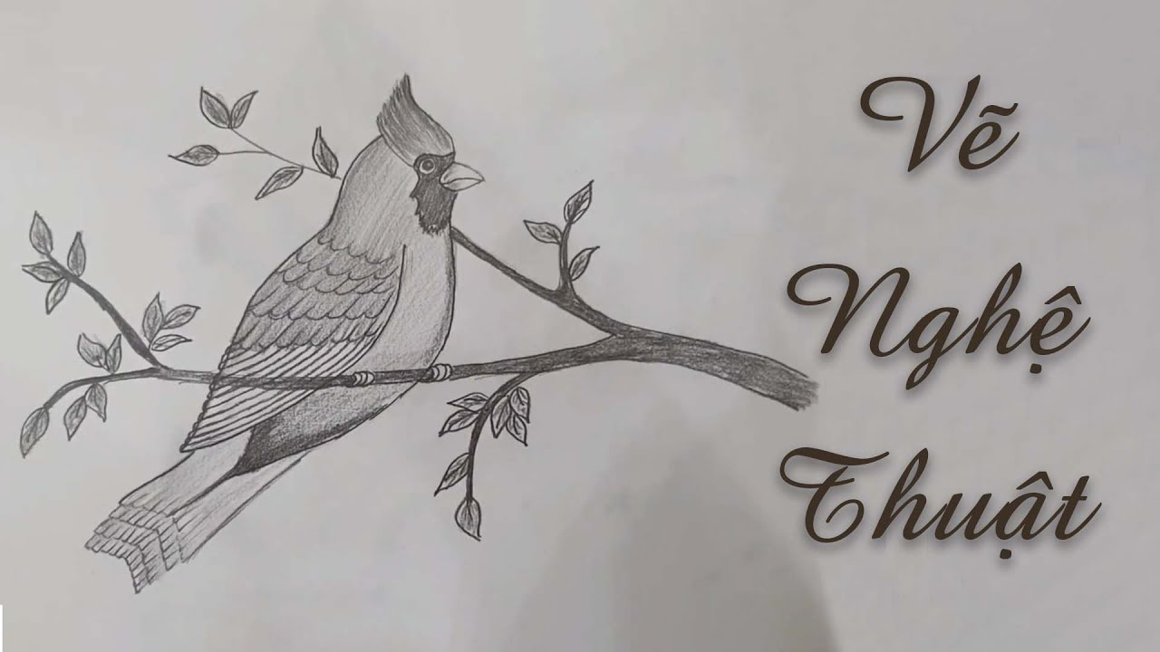 Vẽ Nghệ Thuật || Cách Vẽ Chim Chào Mào bằng bút chì/How to draw a ...
