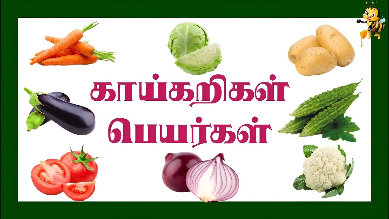 காய்கறிகள் | learn vegetables in tamil | vegetables name | tamil video ...