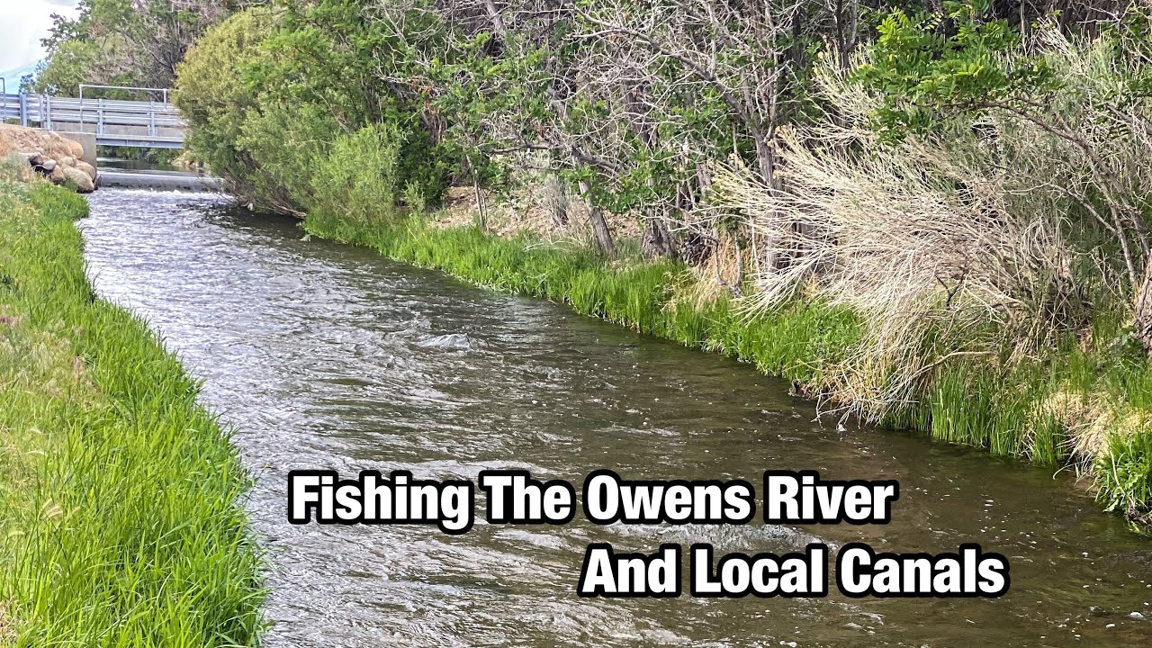 Fishing The Owens River and Local Canals - YouTube