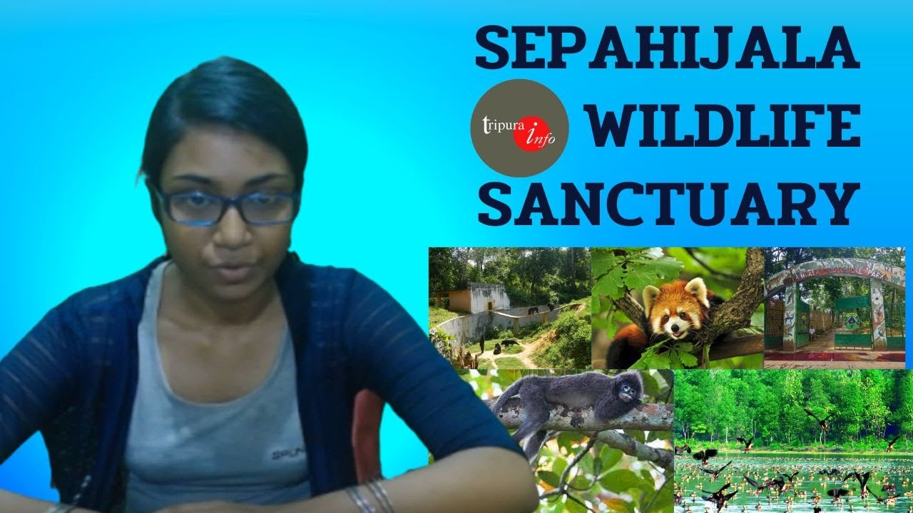 SEPAHIJALA WILDLIFE SANCTUARY , AGARTALA TRIPURA INDIA - YouTube