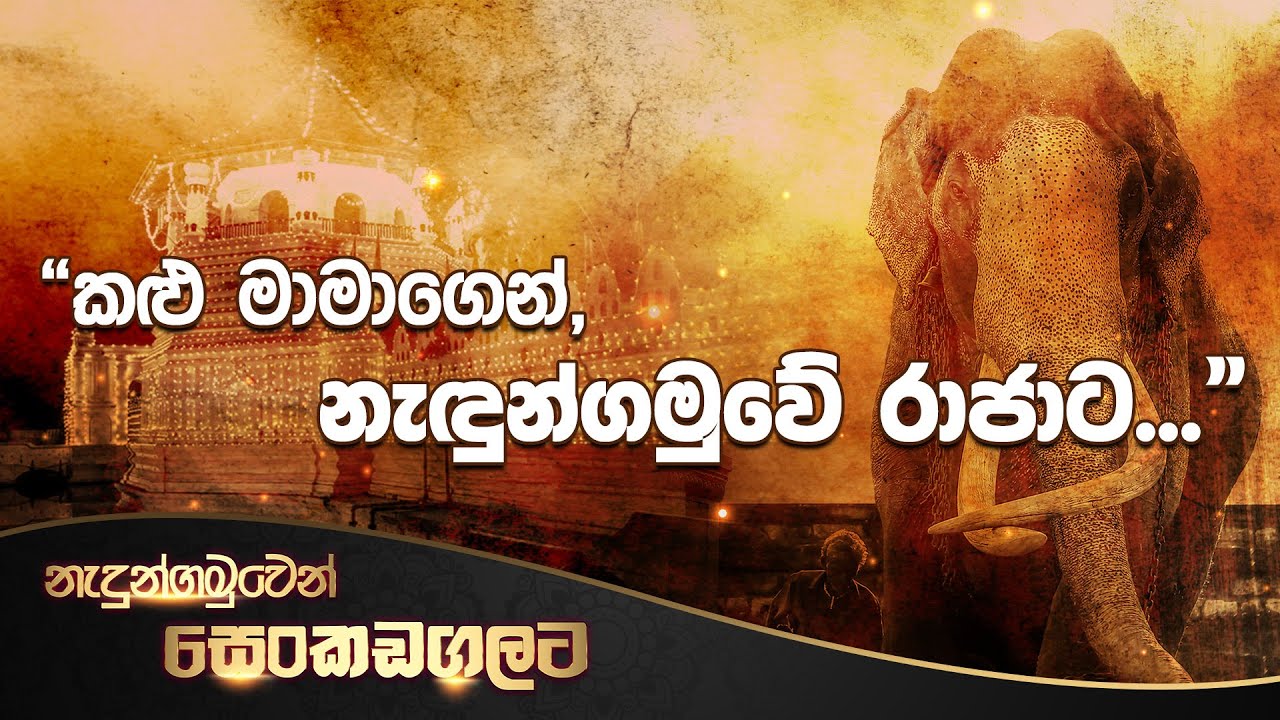 කළු මාමාගෙන්, නැදුන්ගමුවේ රාජාට පණිවිඩයක් | Sirasa TV - YouTube