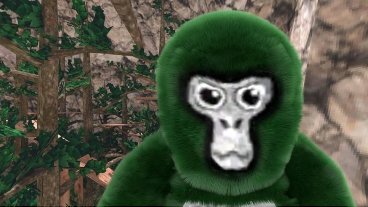 Sammy Miami Live Stream - YouTube