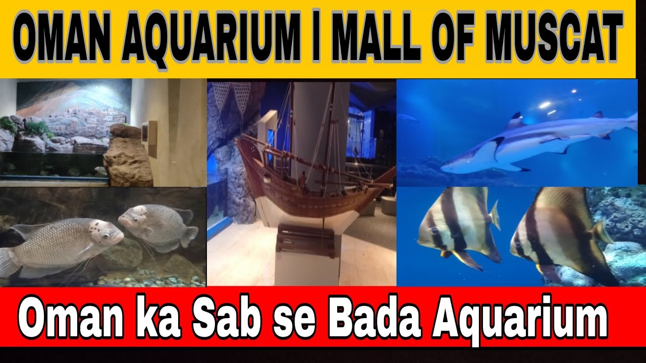 #Muscat l Oman Aquarium l Mall of Muscat l Oman ka sab se Bada Aquarium ...