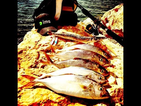 Kıyıdan Spin ve Jig Avı  Epinephelus costae/Plaka Gridası&Baraküda& Amberjack/Seriola dumerili/