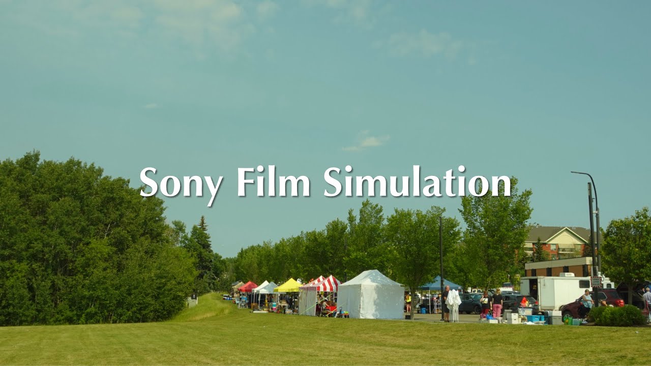 Sony Recipe With Video Samples | Sony Film Look Color Profile | ZV-1 ...