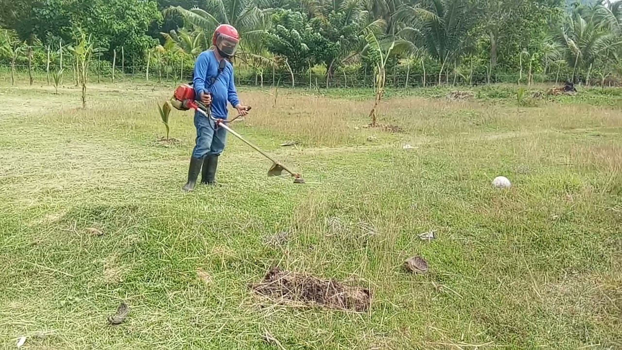 Grass Cutter - Paano ang tamang pagamit - YouTube