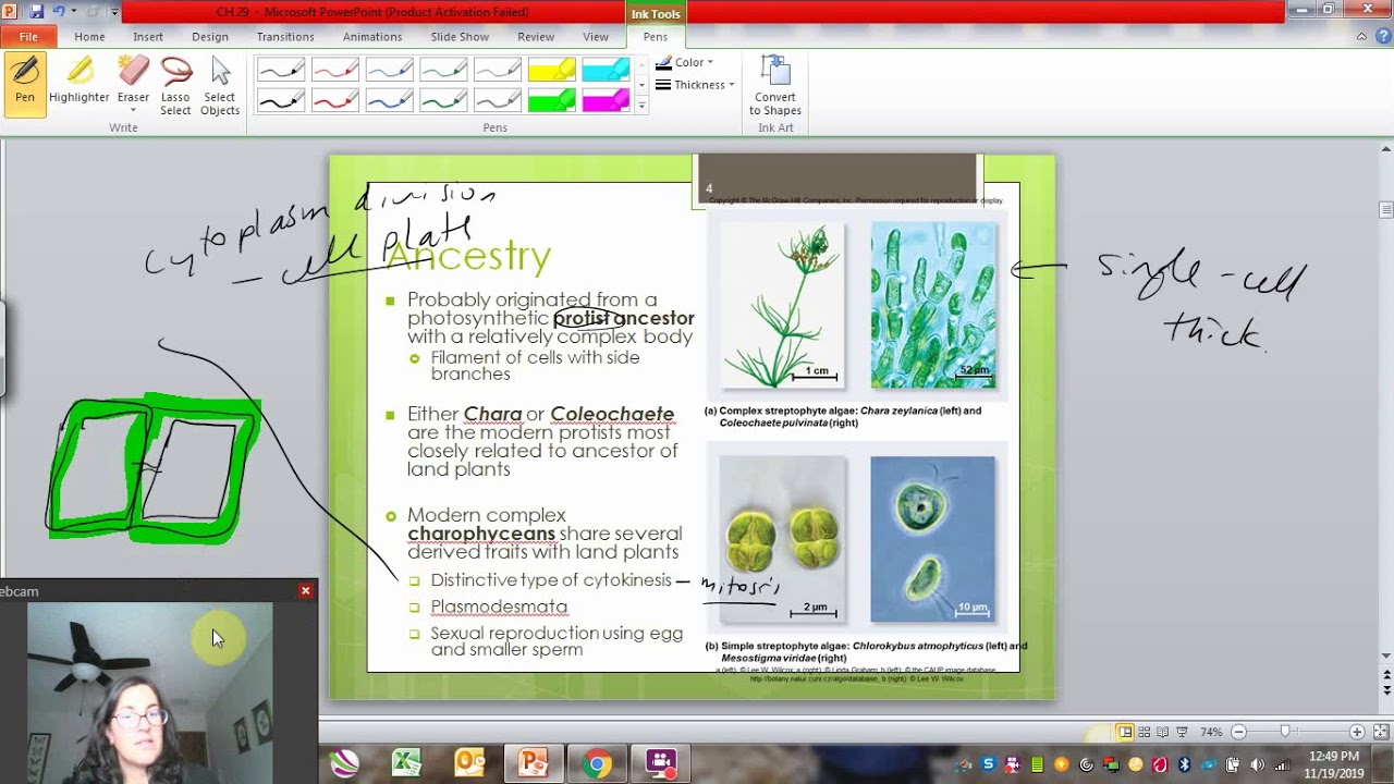 Plant overview - YouTube