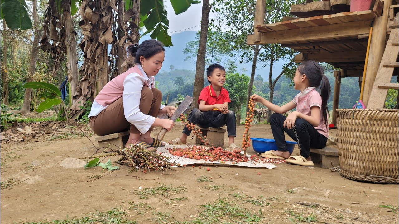 two children go into the forest to collect cardamom - YouTube