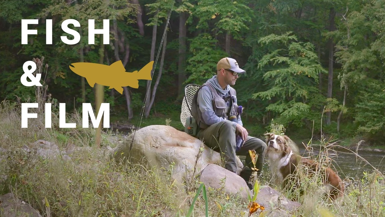 Fish and Film -- Crossover Shifts (Streamers, Nymphs and Wild Trout ...