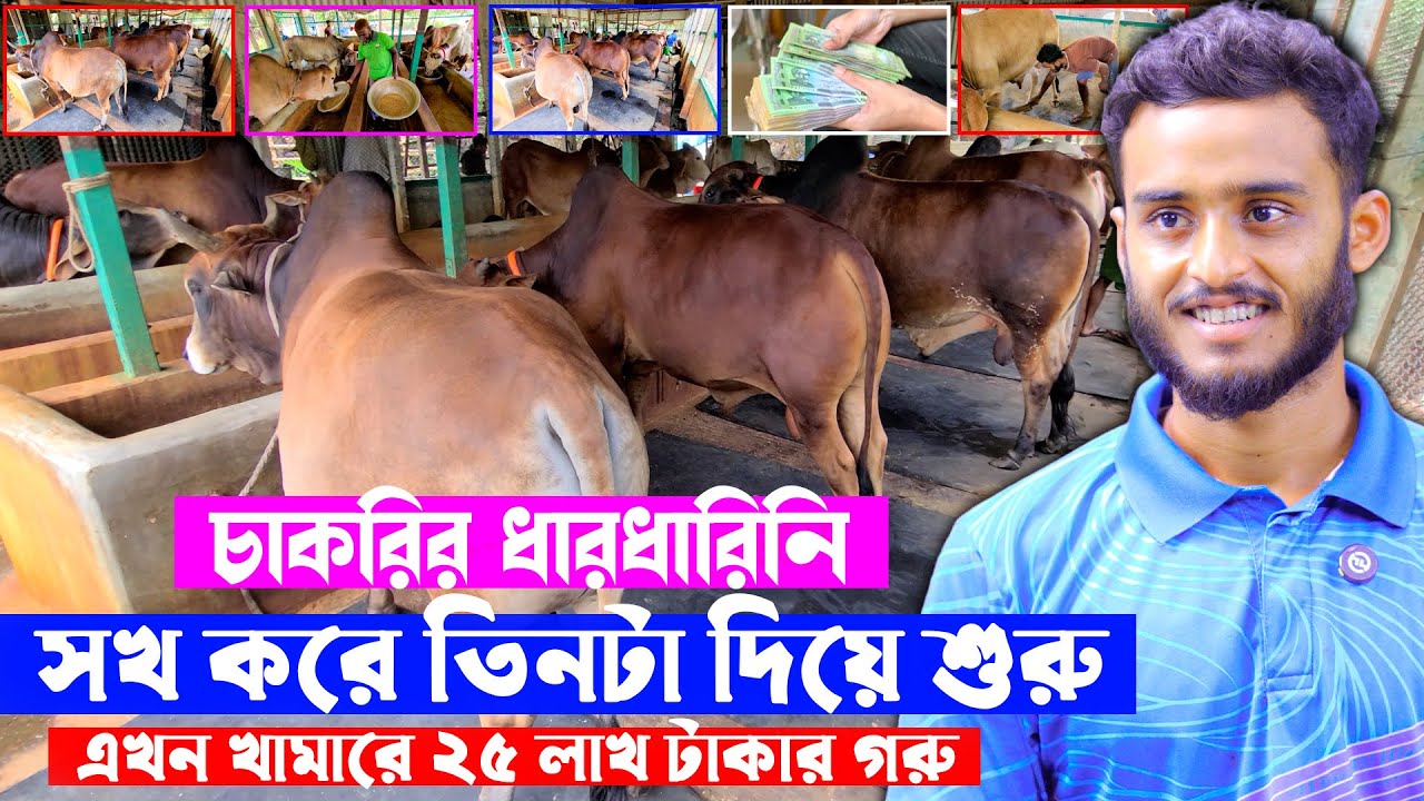 চাকরির ধার ধারিনি | সখ করে তিনটি গরু দিয়ে শুরু | এখন খামারে ২৫ লাখ ...