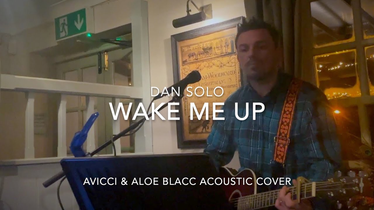 Dan Solo - Wake Me Up (Avicci & Aloe Black) - YouTube Music