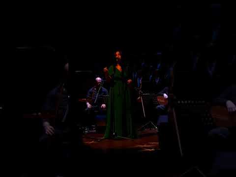 Şu yüce dağları duman kaplamış. Gulten Benli