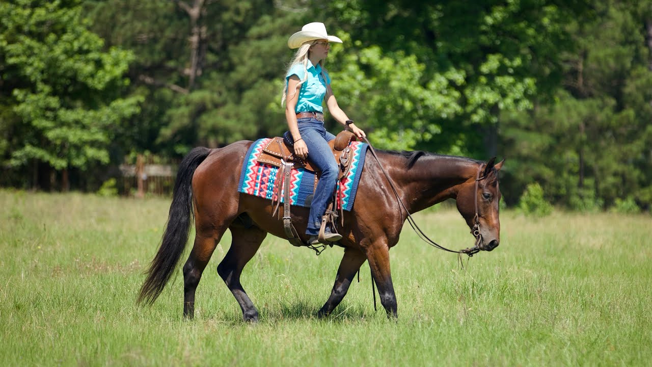 Biggie - Flying B Equine - YouTube