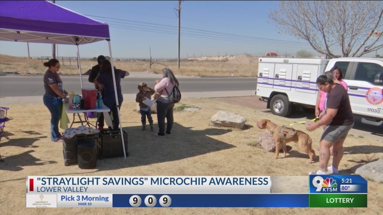 "Straylight Savings" microchip awareness - YouTube