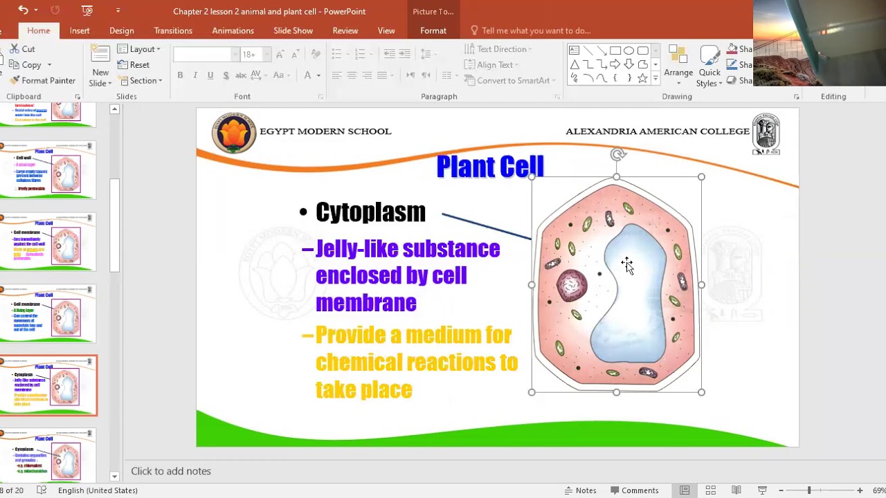 zoom Chapter 2 cells lesson 2 animal and plant cell - YouTube