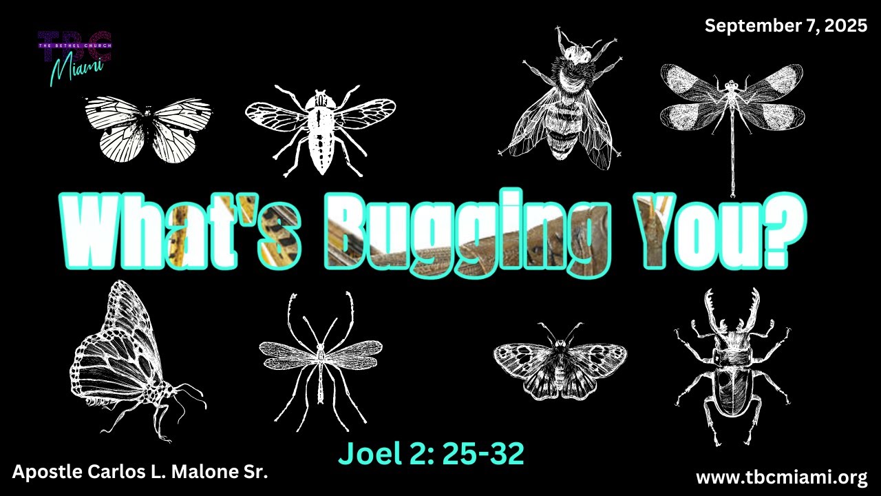 Join TBC Miami LIVE/// Sundays @9:00am EST - YouTube