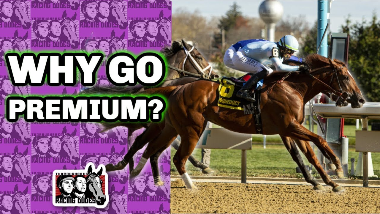 Racing Dudes Picks & Products Explained | Why Go Premium - YouTube