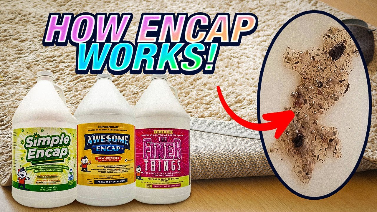 Understanding the Encap Process: Low Moisture Carpet Cleaning Products ...