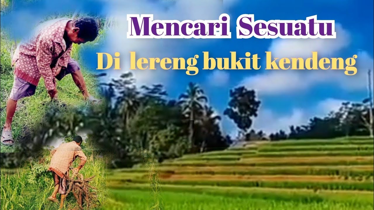 Alam bebas kampung desaku di bukit gunung kendeng#bukit#alamindonesia# ...