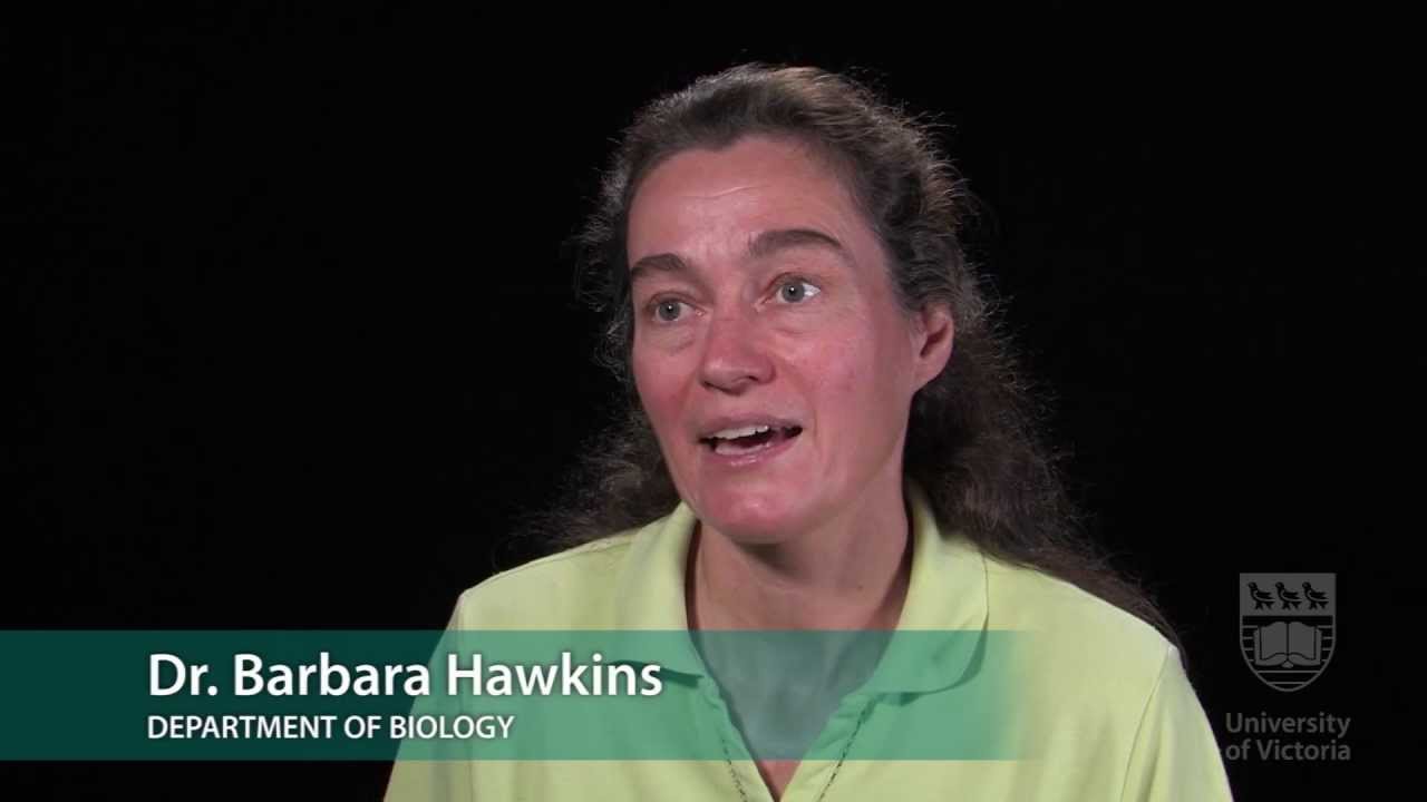 Faces of UVic Research: Barbara Hawkins - YouTube