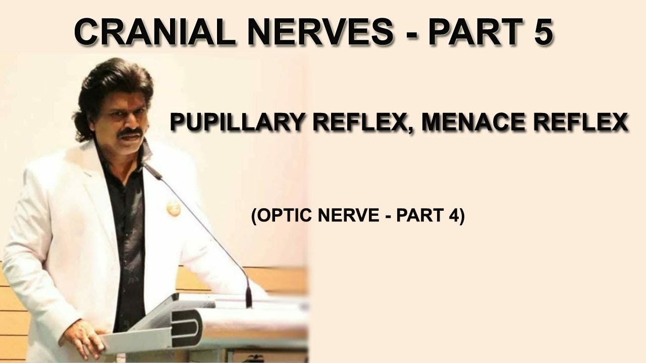 CRANIAL NERVES - PART 5, PUPILLARY REFLEX,MENACE REFLEX,OPTIC NERVE ...