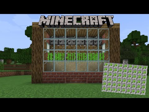 Farm automatica di canne da zucchero I MINECRAFT FARM #2 - YouTube
