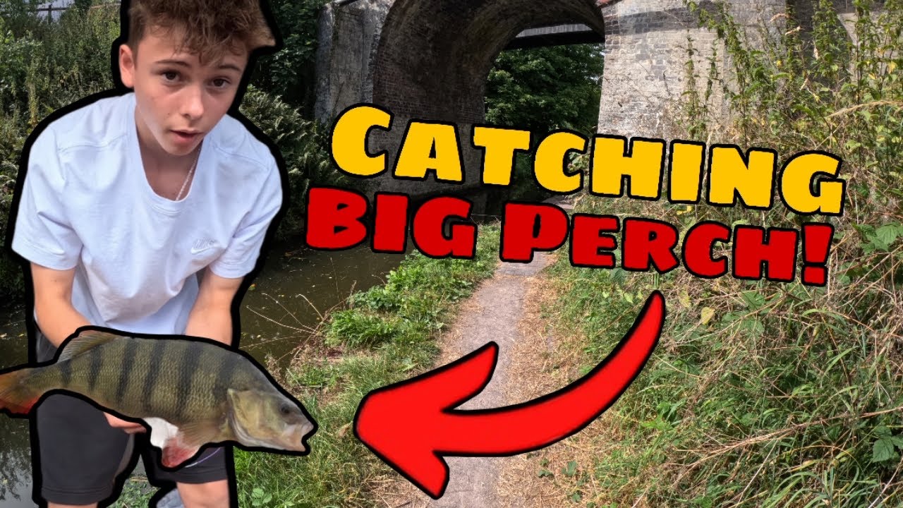 CAUGHT BIG PERCH! || Canal Fishing and CATCHING LOADS! || KEEP NET ...