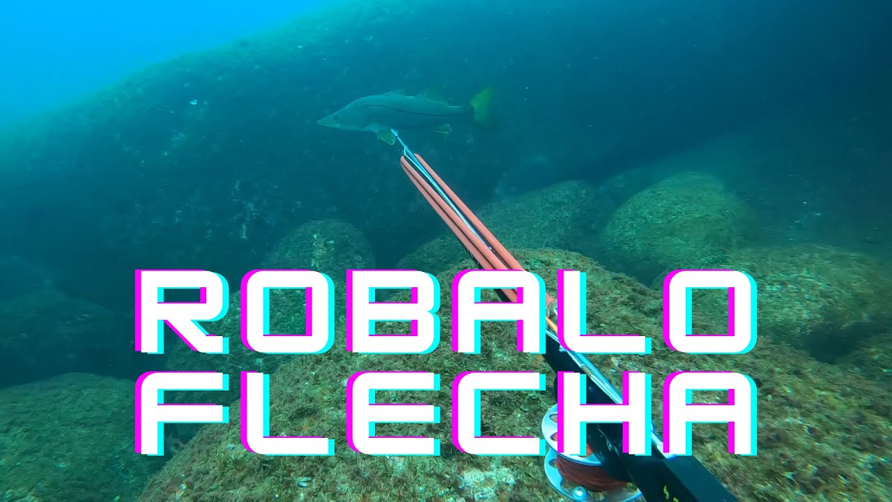 Robalo Flecha, Angra dos Reis, Água cristalina - YouTube