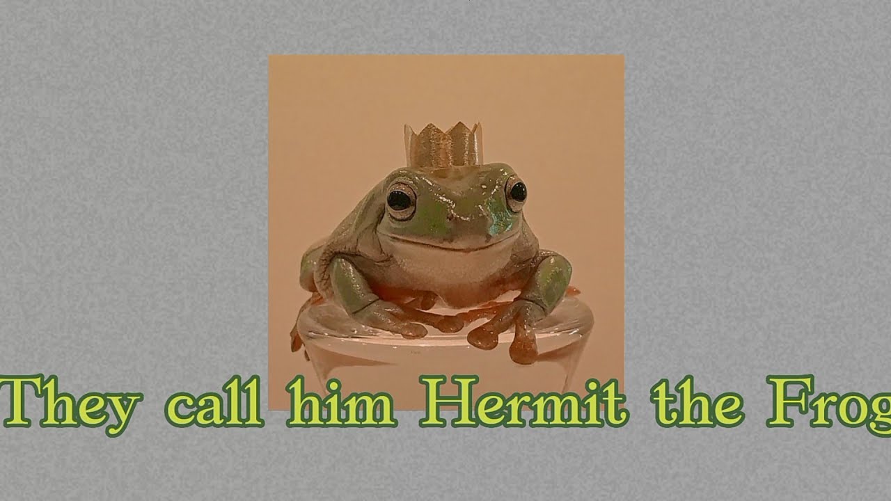 hermit the frog - marina ( lyrics ) - YouTube