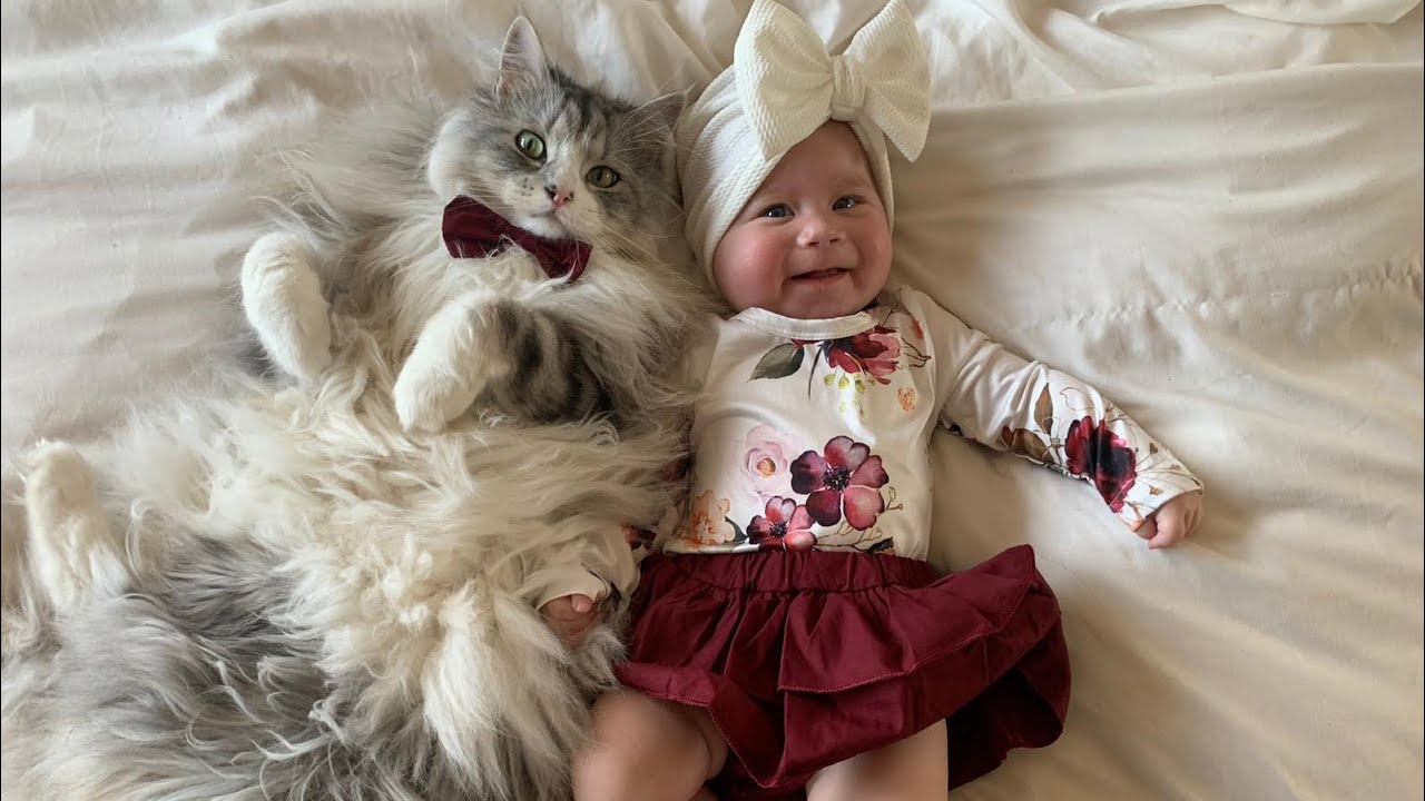 My Cat and My Baby Share The Best Bond He'll Always Protect Her (CUTEST ...
