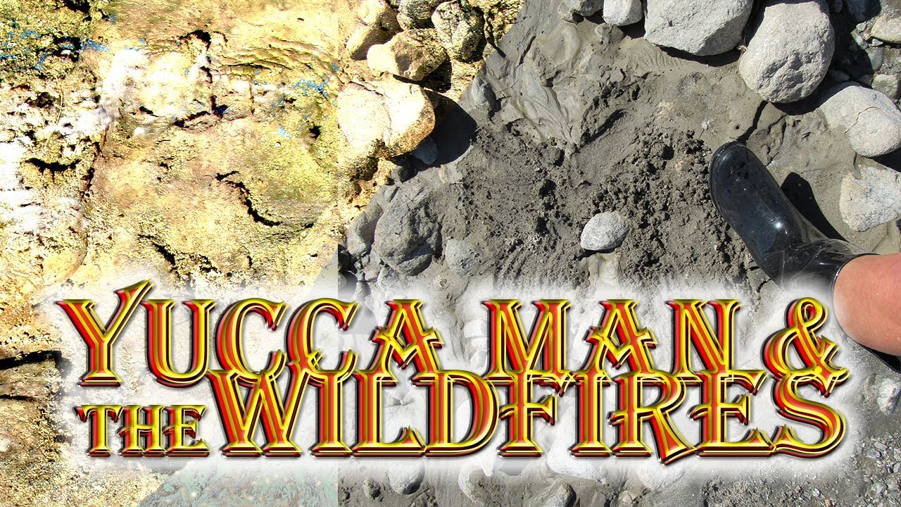 YUCCA MAN, the Local Cryptids & Wildlife React to the Forest Fires ...