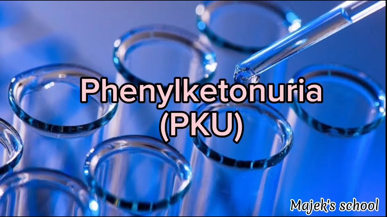 Phenylketonuria(PKU) | Genetic diseases - YouTube