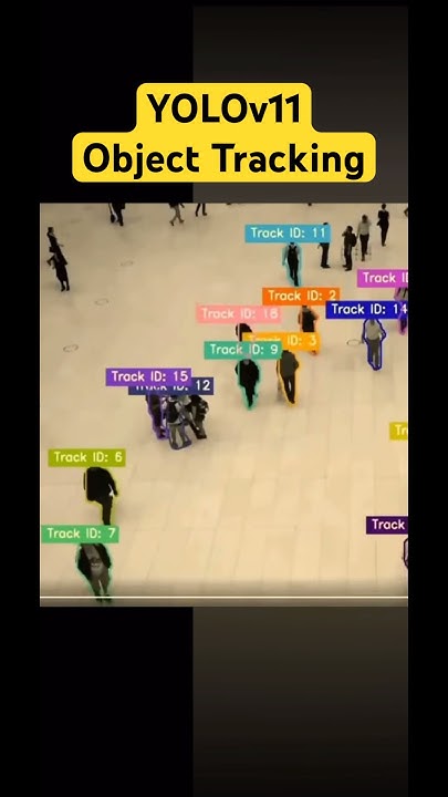YOLO11 Object Tracking using Ultralytics - YouTube