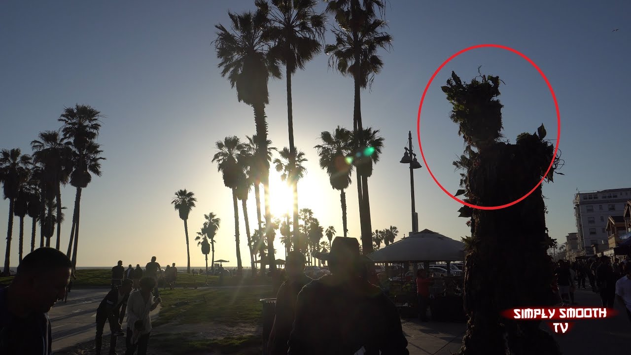 A DocumenTree - The Story of Treeman! - YouTube