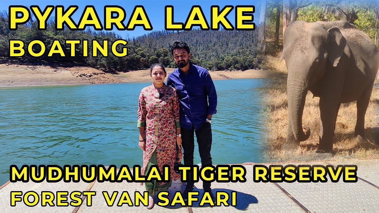 Pykara Lake Boating | Mudumalai Tiger Reserve Forest Safari | Best ...