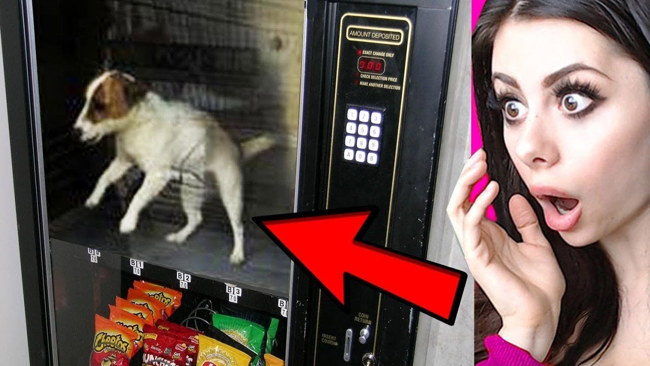 Unbelievable VENDING MACHINES From Around the World ! - YouTube
