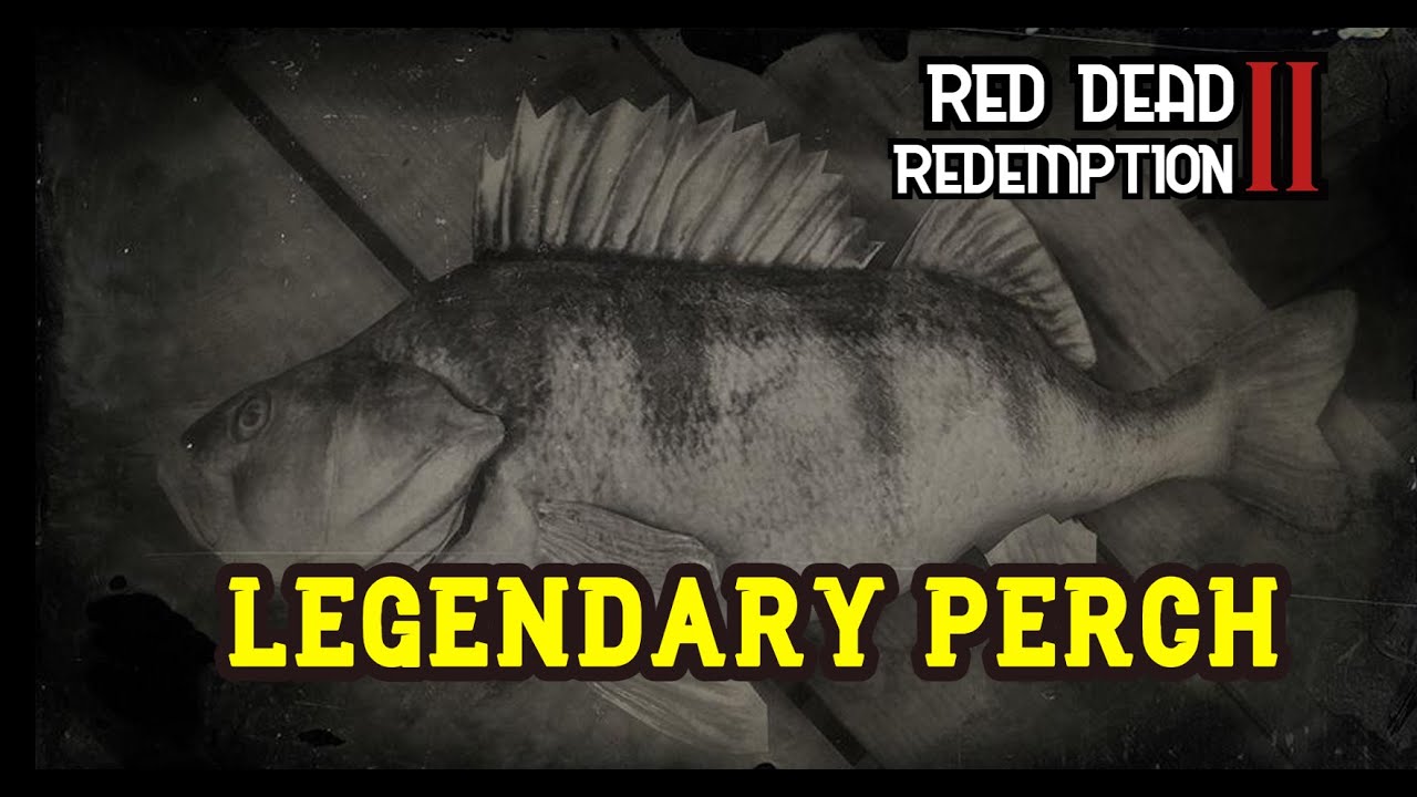 LEGENDARY PERCH | Red Dead Redemption 2 - YouTube