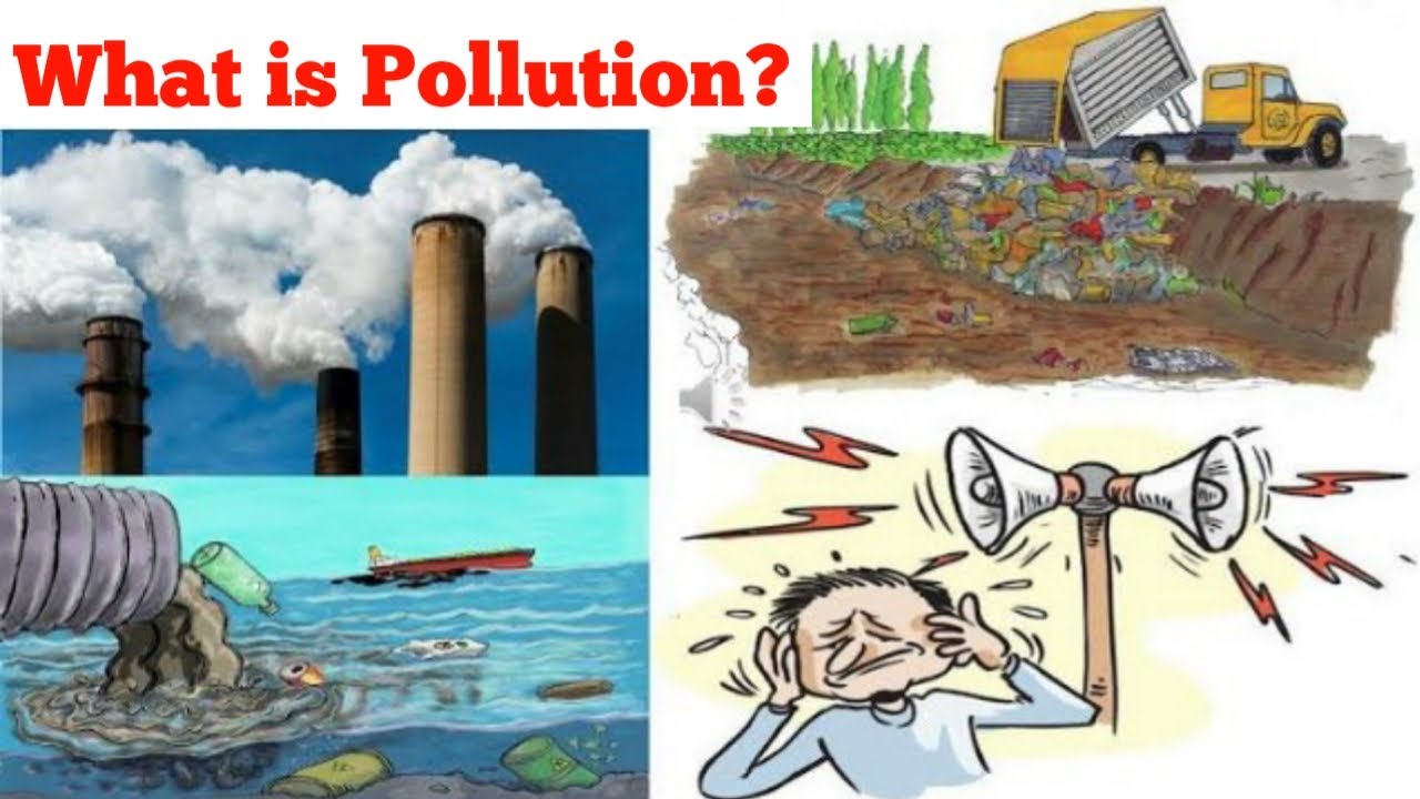 Pollution | Meaning and Definitions of Pollution with examples | for BE ...