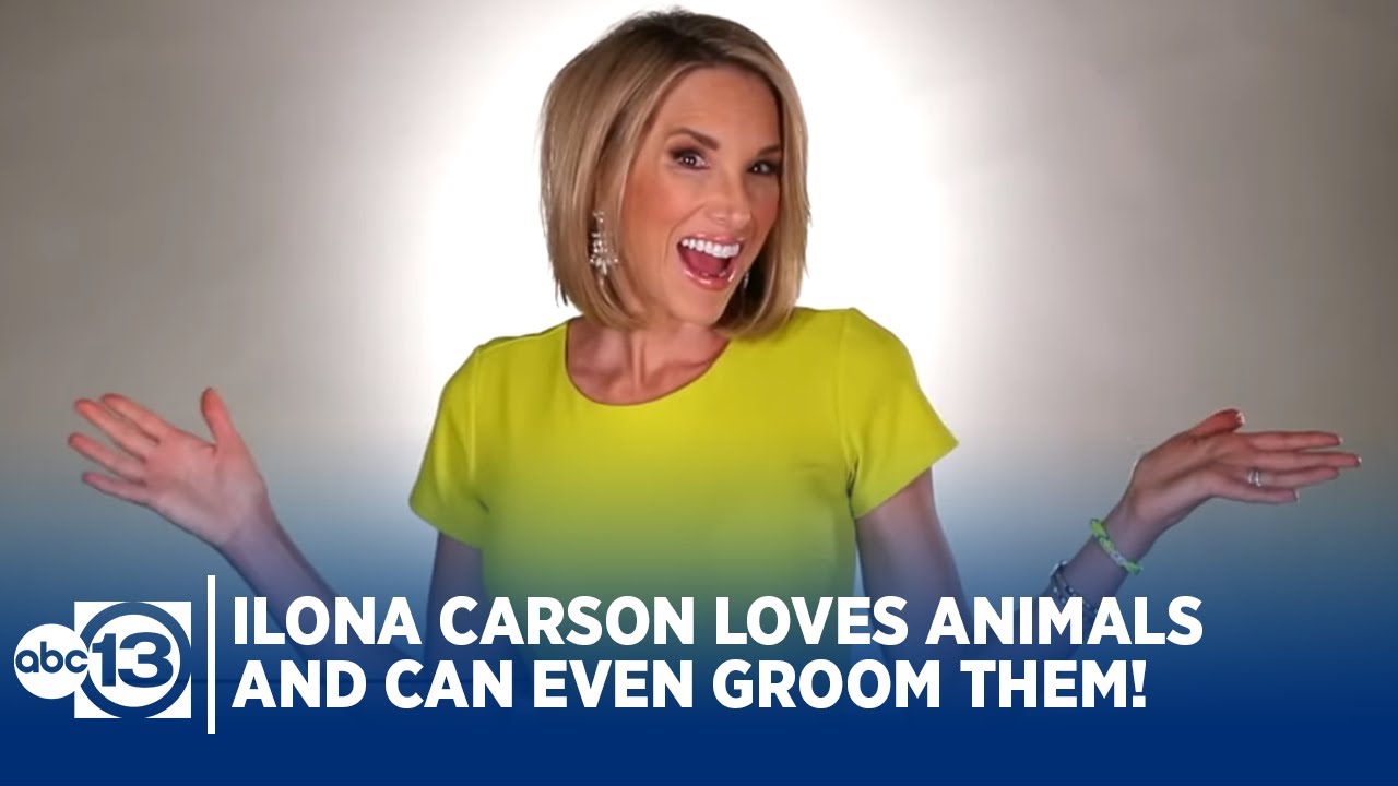 Dog grooming, margaritas and a country girl at heart: Get to know ABC13 ...