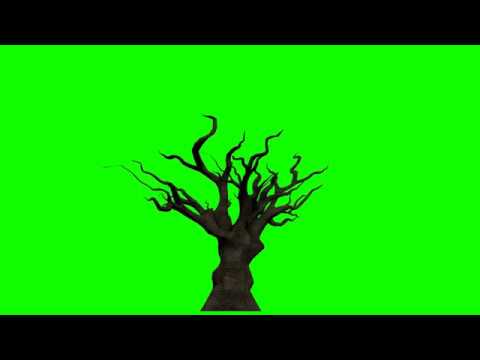 FREE HD Green Screen - CREEPY OLD TREE - YouTube
