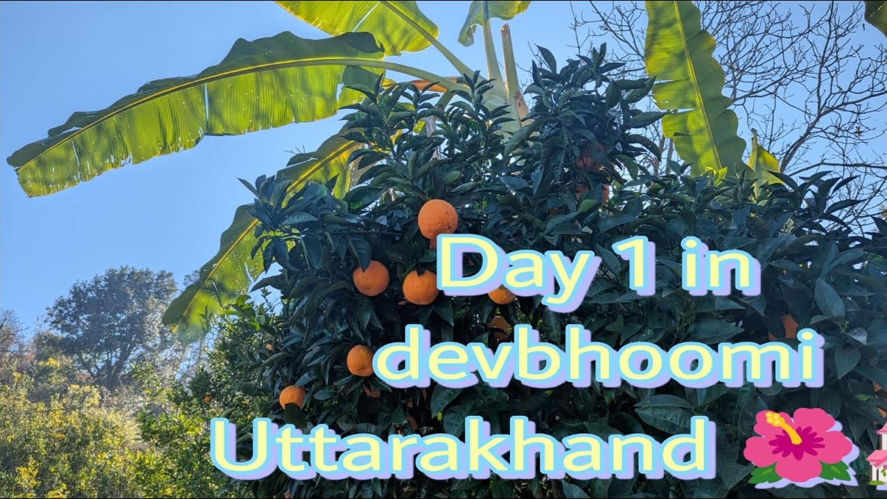 Day 1 in devbhoomi Uttarakhand 🥰🏠#uttarakhand #devbhoomiuttarakhand #vlogger #husbandwife # ...