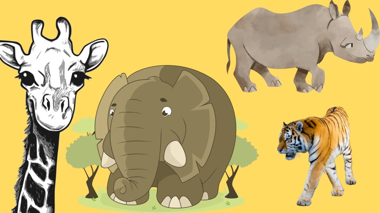 Animale Dragute in ordine alfabetica De la A la Z - YouTube